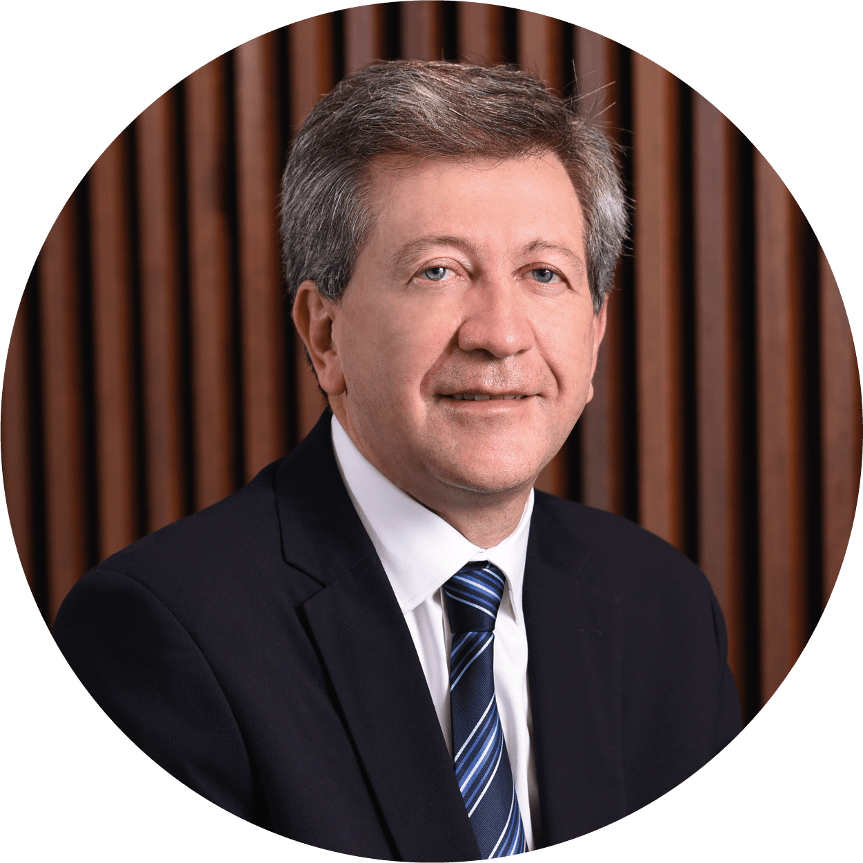 Organos de control - Bancamia | Facilitamos Su Progreso